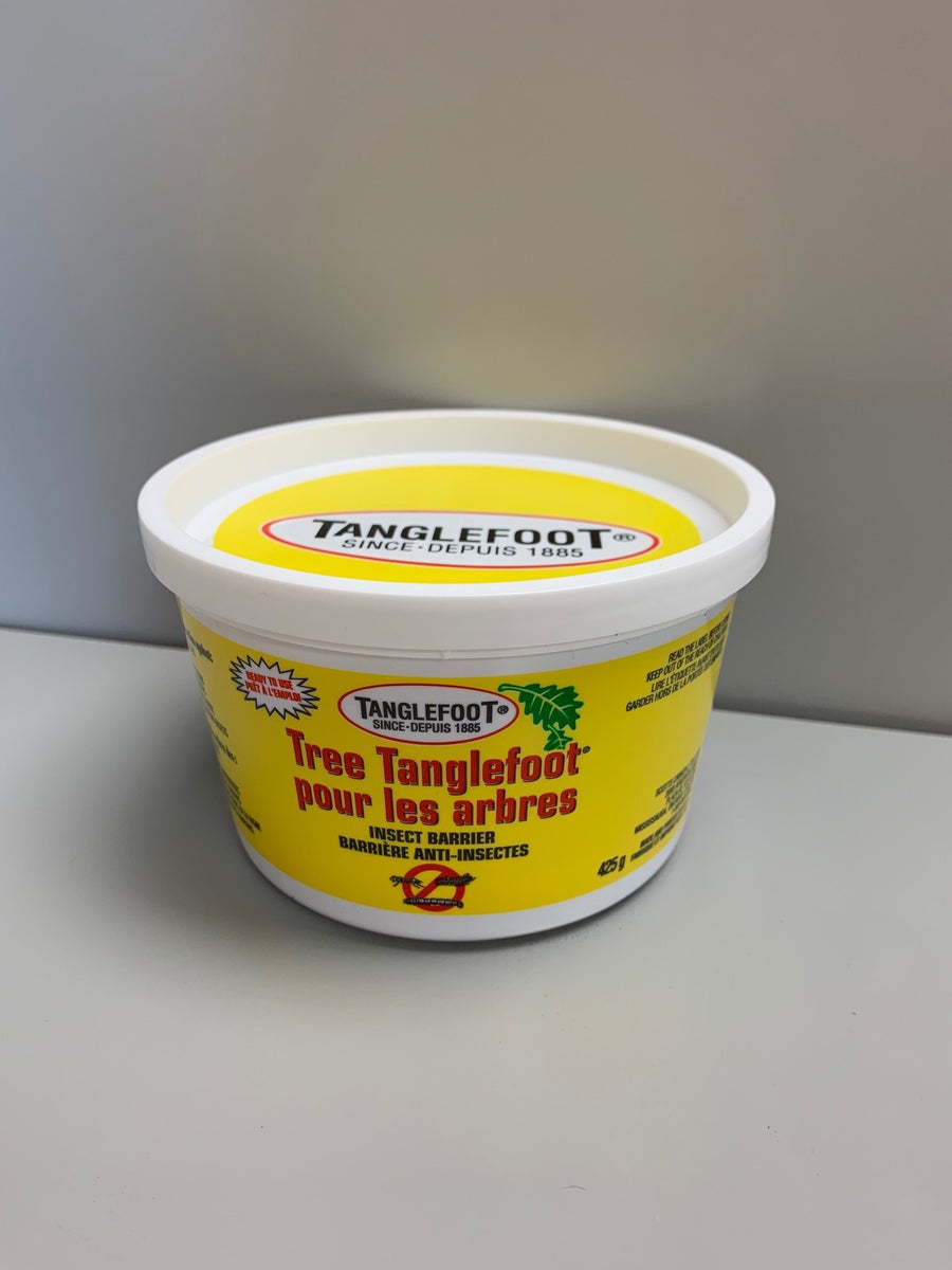 Tree Tanglefoot Pest Barrier – Poulin's Pest Control