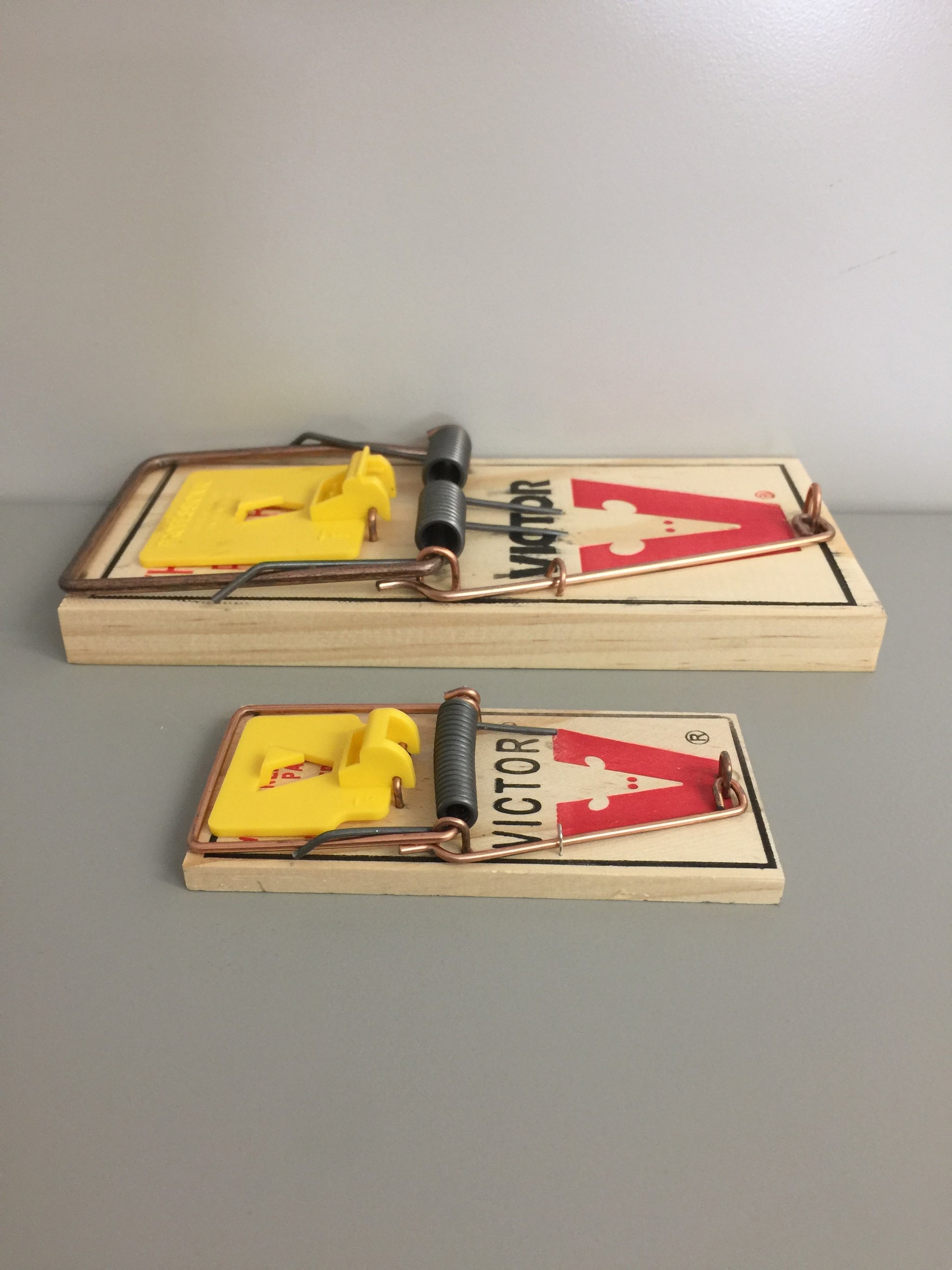 victor snap trap rat